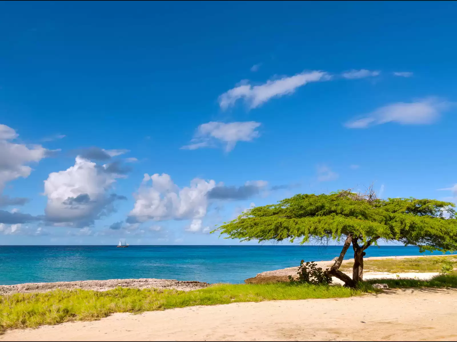 Croisière Aruba (Caraïbes - Antilles) : Tarifs, Promos, itinéraires...